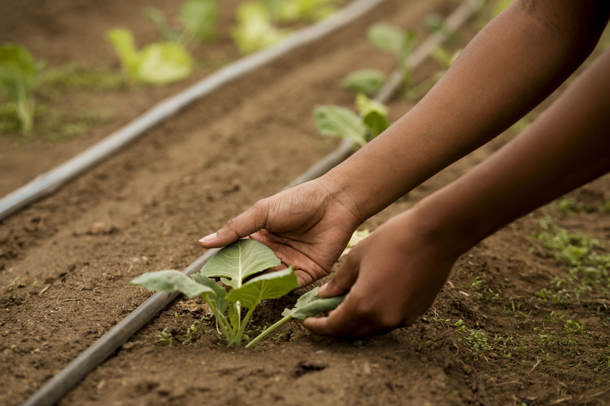 Agri-energy-desk - National Renewable Energy Platform